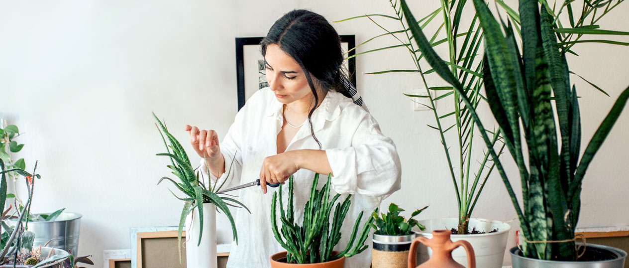 Should I Buy a House? 10 Benefits of Owning a Home | Cardinal Financial