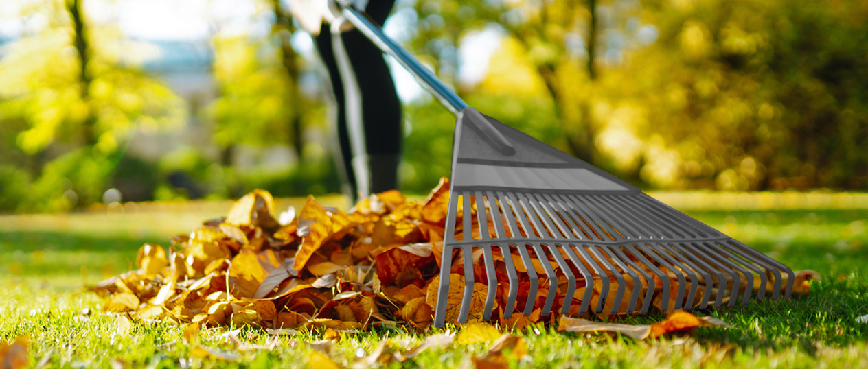 Your 8-Step Fall Home Maintenance Checklist | Cardinal Financial