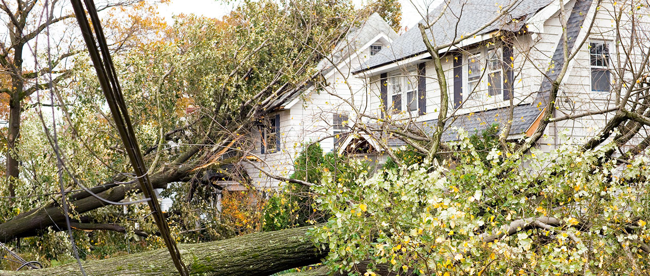 Your Home Disaster Recovery and Prep Guide | Cardinal Financial
